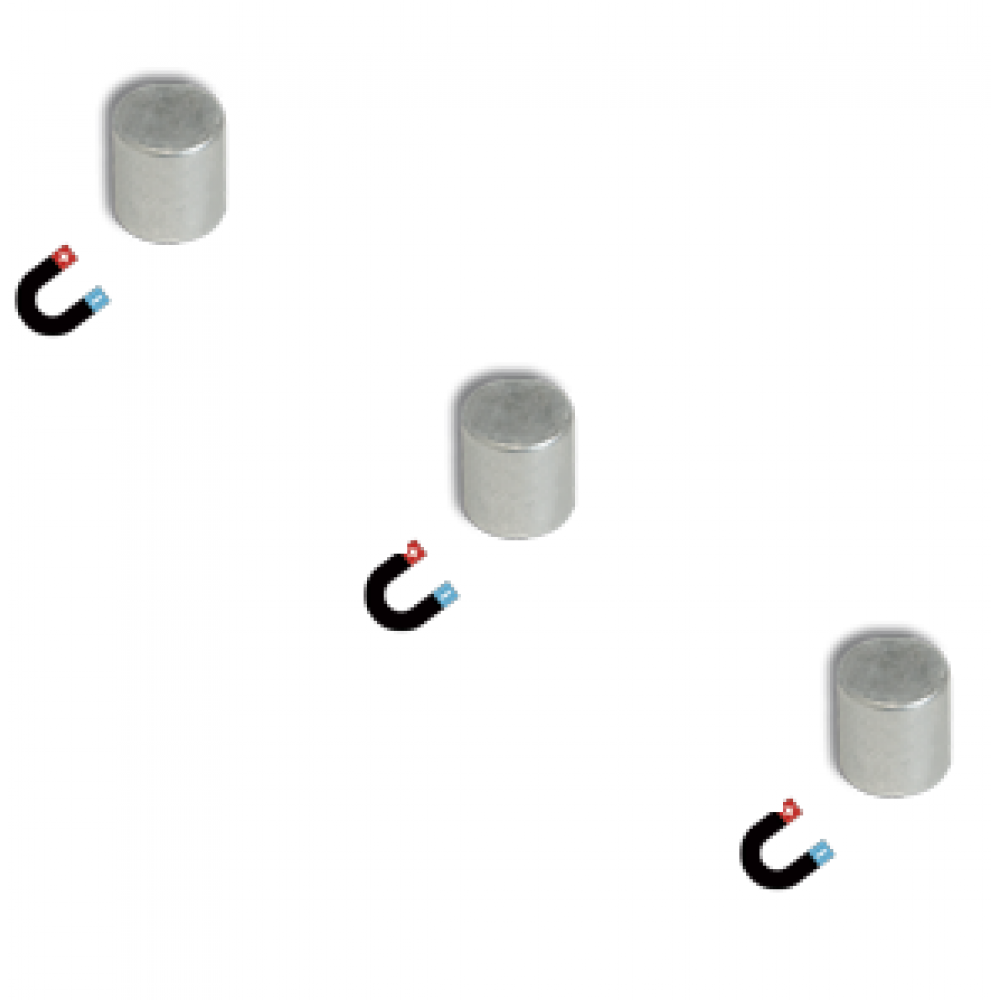 Showcase Fixing Magnets 21090