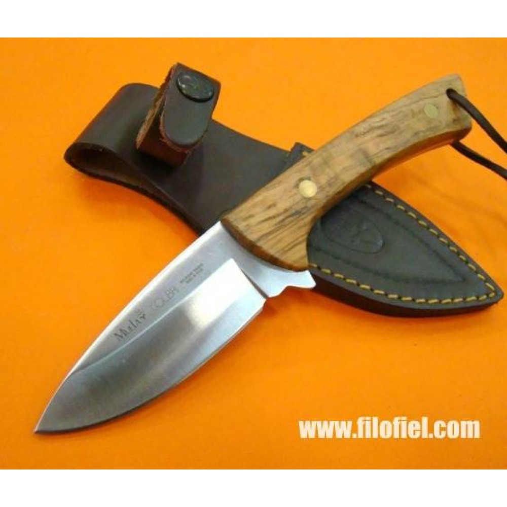 Muela Colibri col9ol - Muela | Muela Campo y Caza